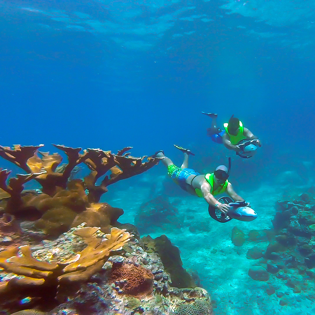 Power Snorkel - St Lucia Snorkeling | Adventure Tours St. Lucia